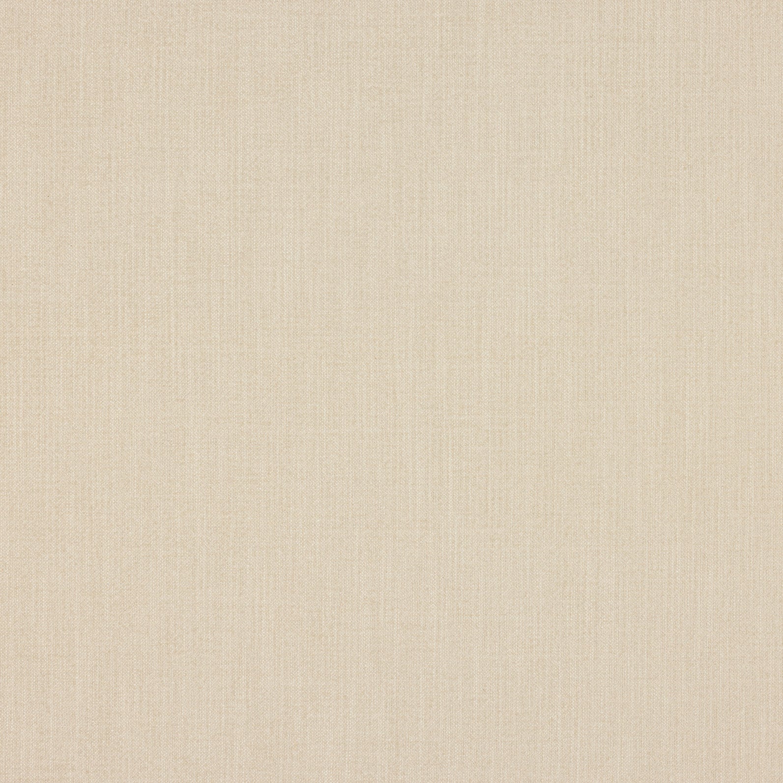 Sample: Cream Chenille – Kingcome