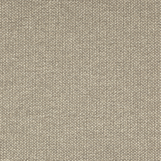 Sample: Bone Fancy Boucle – Kingcome